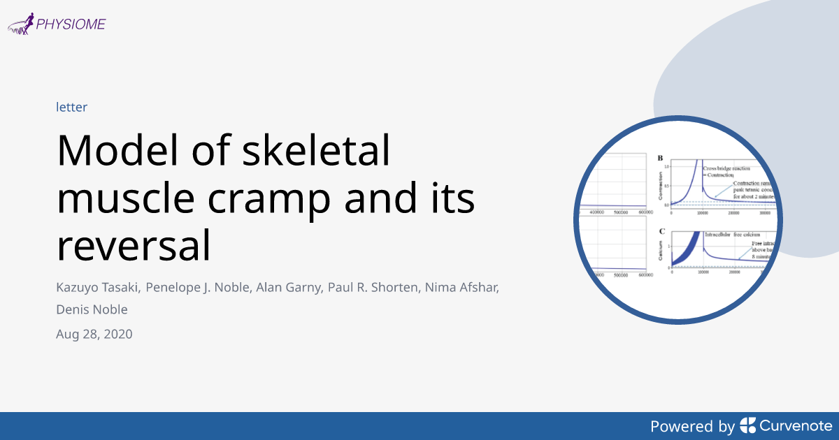 Model of skeletal muscle cramp and its reversal - Physiome Journal