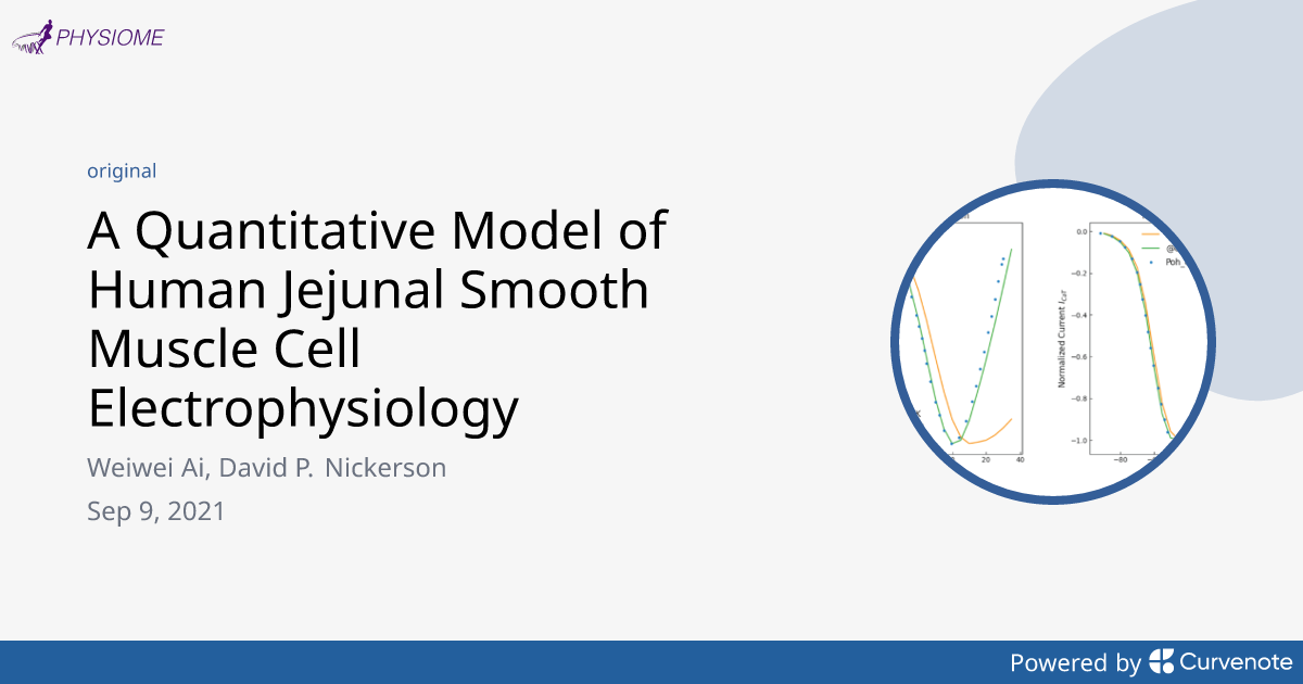 A Quantitative Model of Human Jejunal Smooth Muscle Cell ...
