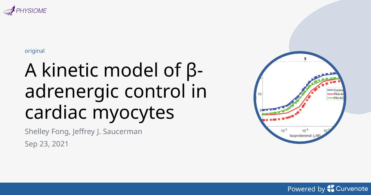 A kinetic model of β-adrenergic control in cardiac myocytes - Physiome ...